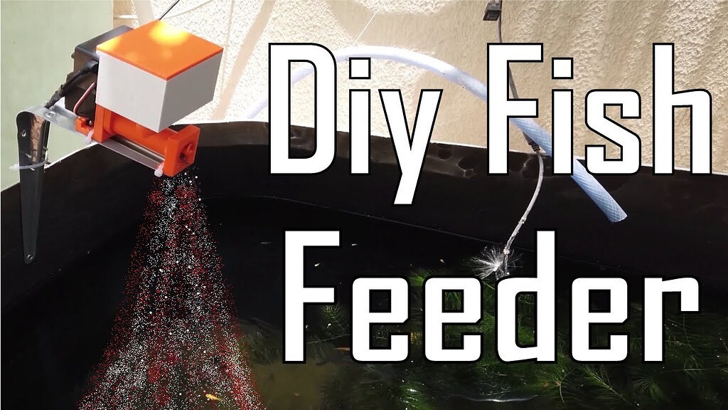 Fish feeder help needed - General Guidance - Arduino Forum