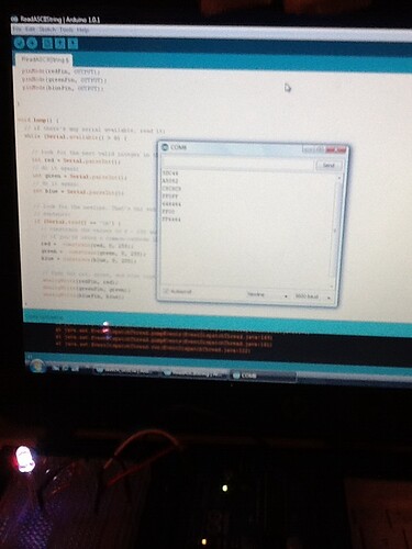 Problem with Arduino Reading ASCII string project - General Guidance - Arduino Forum