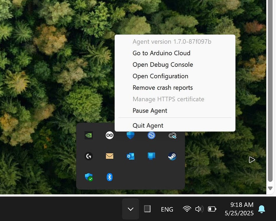 IoT Cloud Troubleshooting with RP2040 Connect - Cloud IoT - Arduino Forum