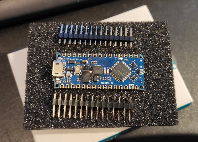 New Every burned out (straight out of the box) VIN 15V - Nano Every ...