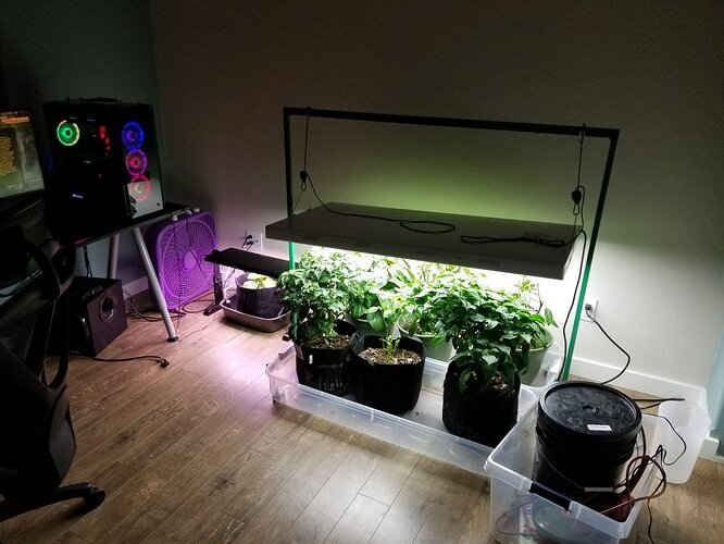 Project Indoor Garden General Guidance Arduino Forum