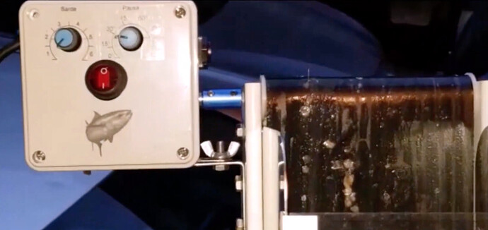 Primo Progetto Arduino - Generale - Arduino Forum