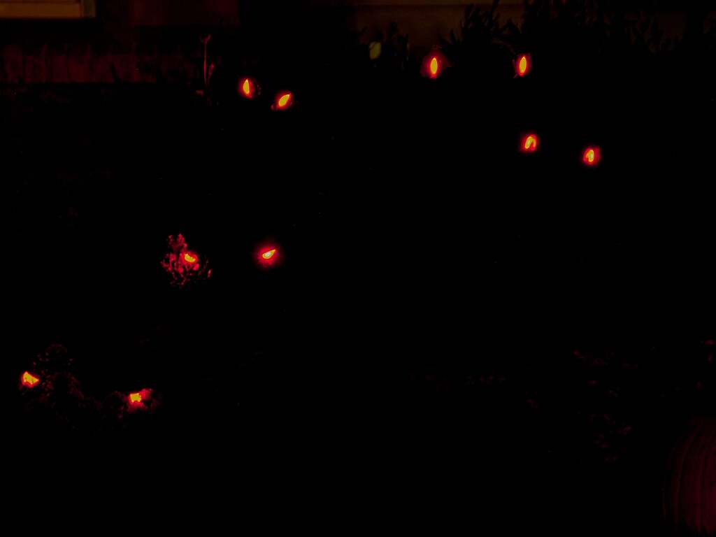 ATTINY / Watchdog - Unexpected behavior. Help w/ review and troubleshooting - Programming ...