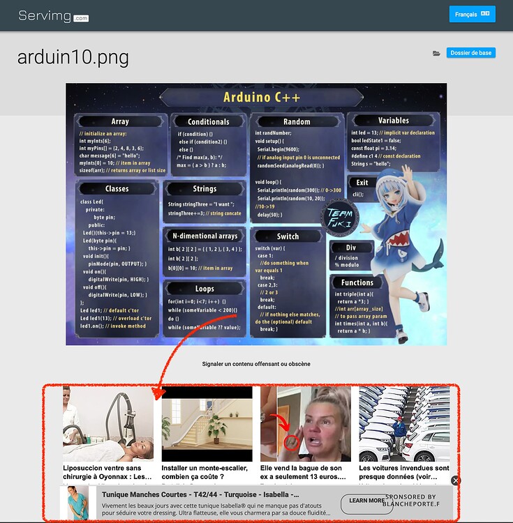 Disgusting treatment on this forum - Bar Sport - Arduino Forum
