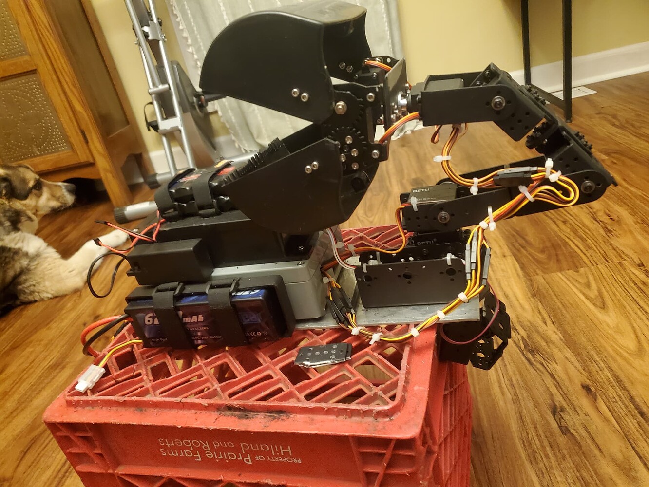 Nested while statements to hijack motor control? - Programming ...