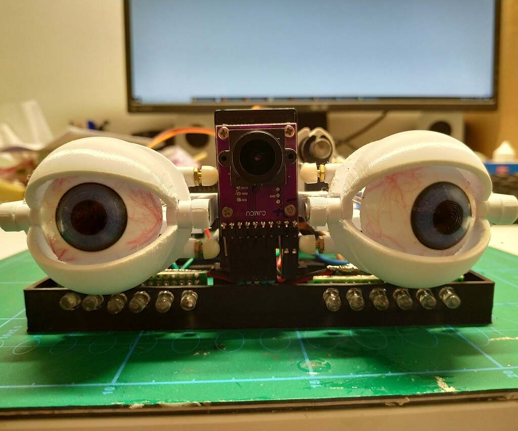 Eye-Animatronics advise - Robotics - Arduino Forum