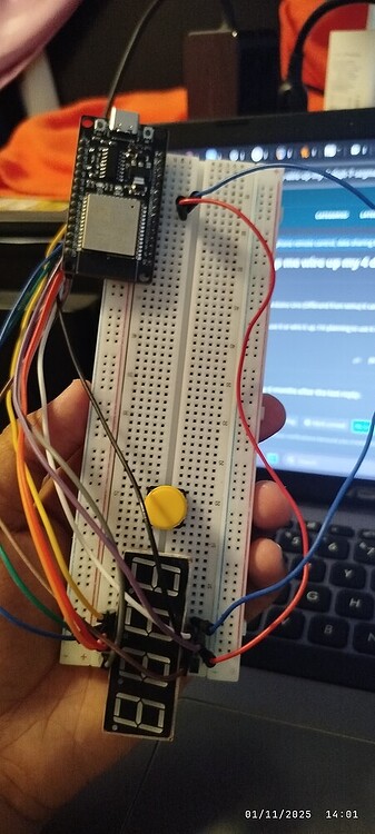 Can anyone Help me wire up my 4 digit 7-segment display? - General ...