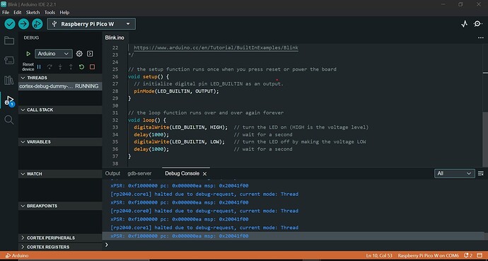 Debug issue on IDE - IDE 2.x - Arduino Forum