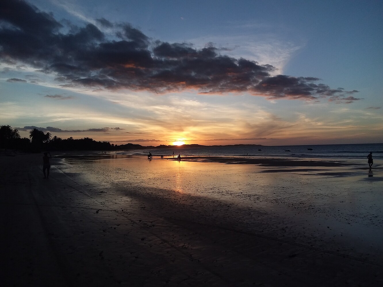 Program pic12f675 - General Guidance - Arduino Forum