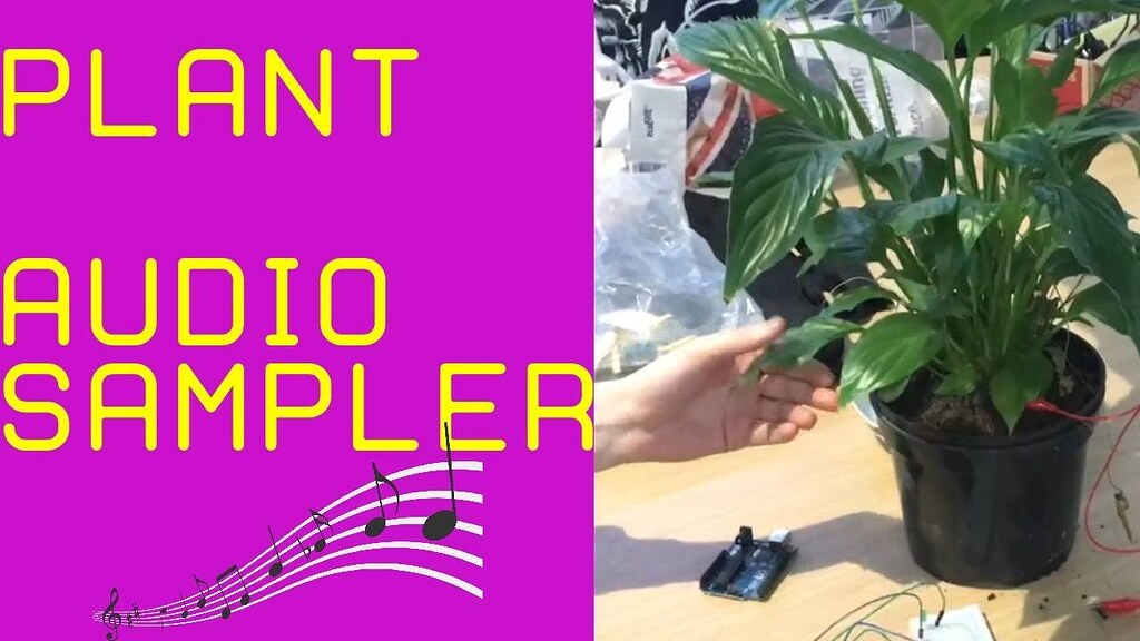 Plant sound con Arduino e Pure Data - Hardware - Arduino Forum