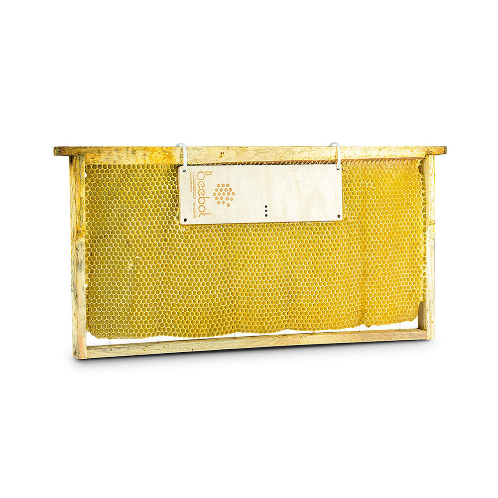 Feasability question beehive data logger - General Guidance - Arduino Forum