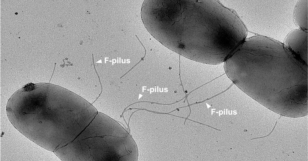 SOLVED: Weird communication with MAX3232... - General Electronics - Arduino Forum
