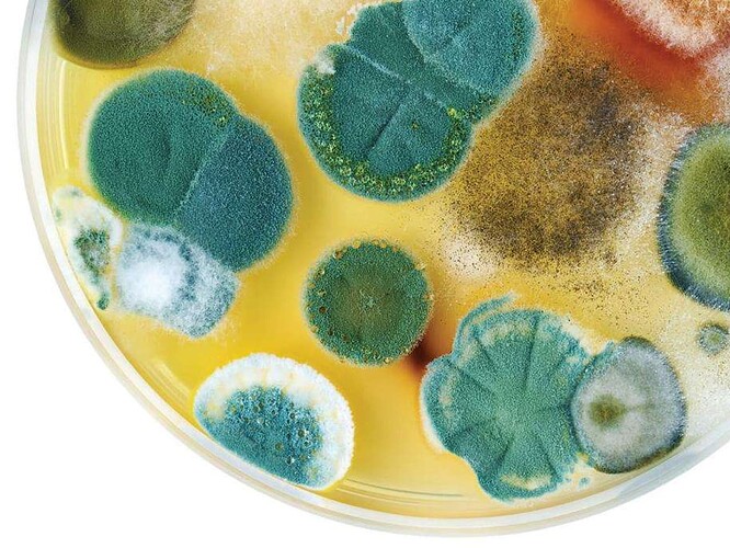 [SOLVED] PTC element temperature - Page 2 - General Electronics ...