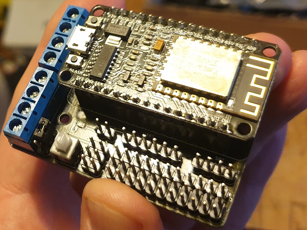 Can anyone tell me exactly what sort of NodeMCU this is? - General ...