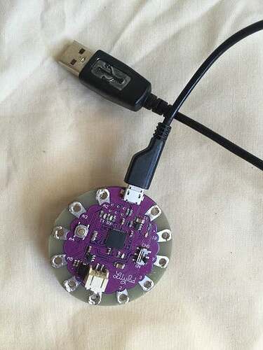 Port for Arduino Lily Pad USB - IDE 1.x - Arduino Forum