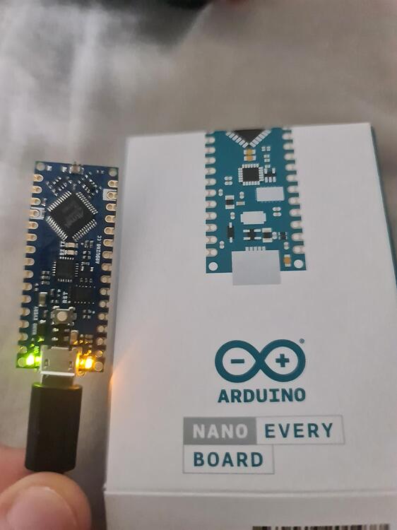 Arduino Nano dont appera in "port" - Nano Every - Arduino Forum