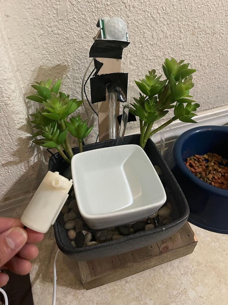 Water fountain with button - Programming - Arduino Forum