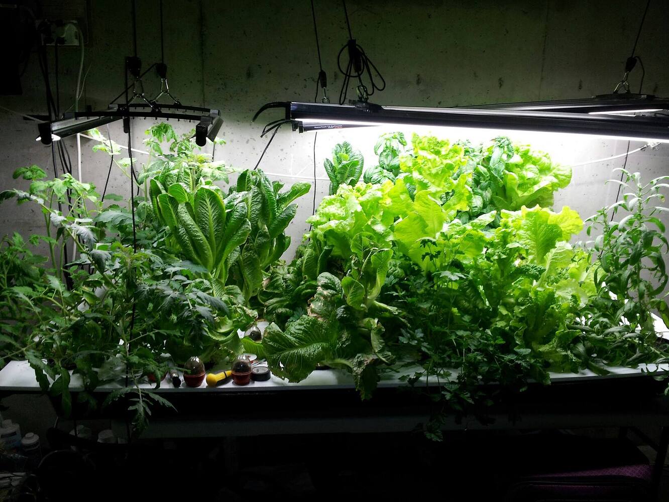 Hydroponic pH and conductivity sensors - Sensors - Arduino Forum