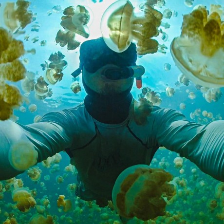 Several errors compiling - Programming - Arduino Forum