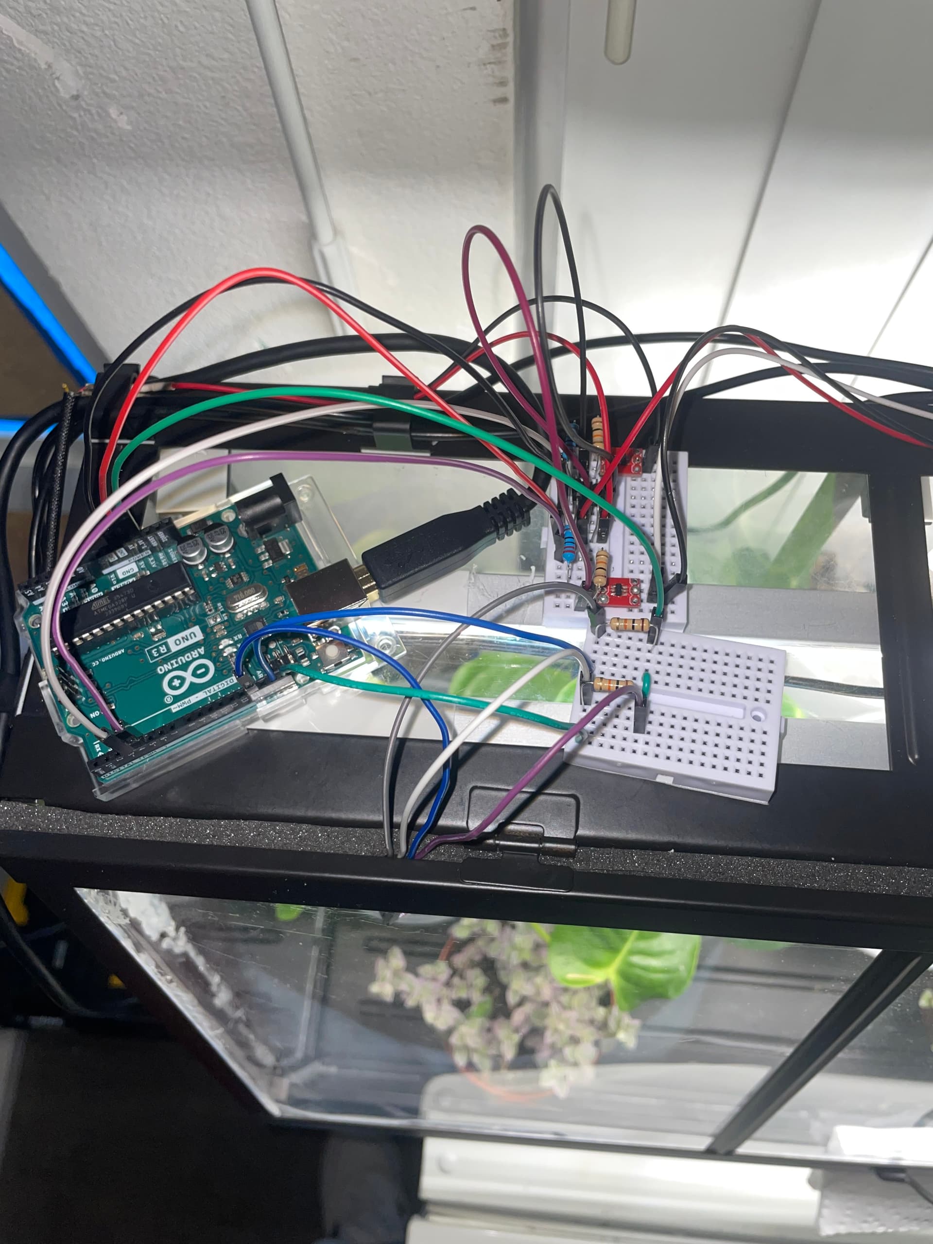 Disconnecting and malfunctioning humidity sensors in a terrarium setup ...