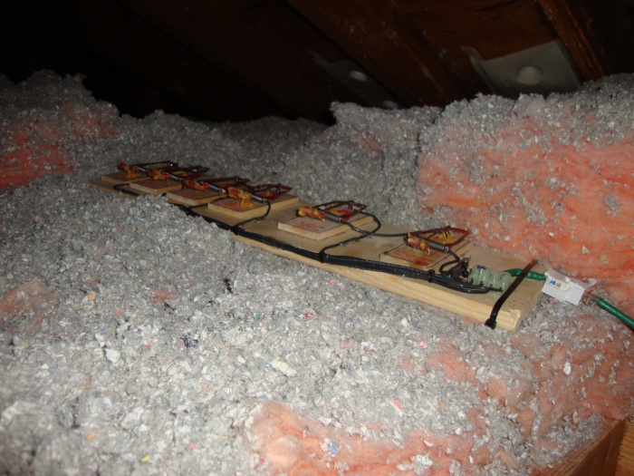 Mouse traps - Sensors - Arduino Forum