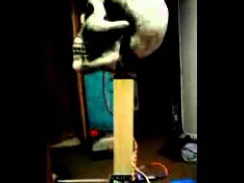 Please help with animatronic skull - General Guidance - Arduino Forum