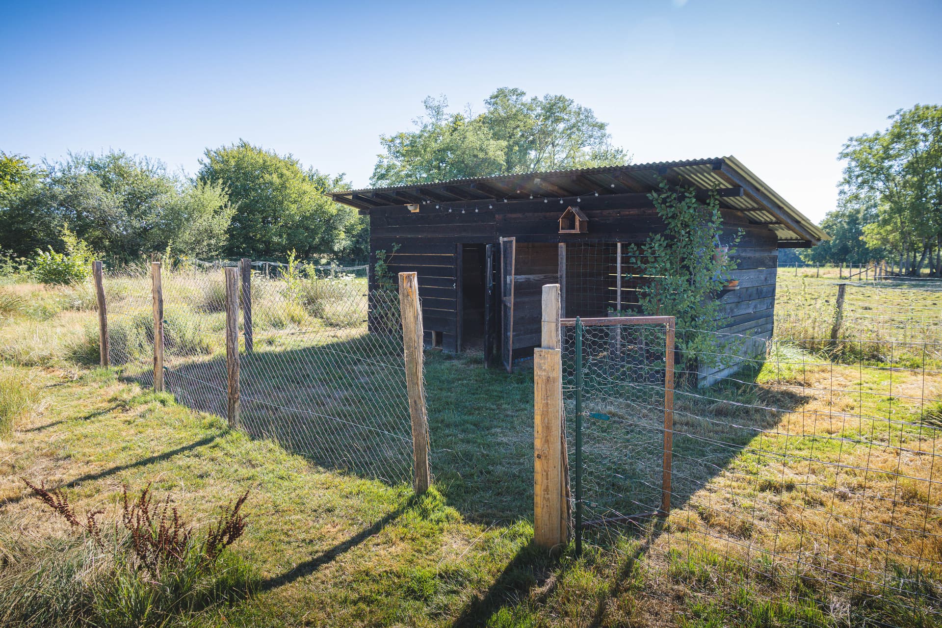 Problem with debugging a chicken door project - Page 5 - General Guidance - Arduino Forum