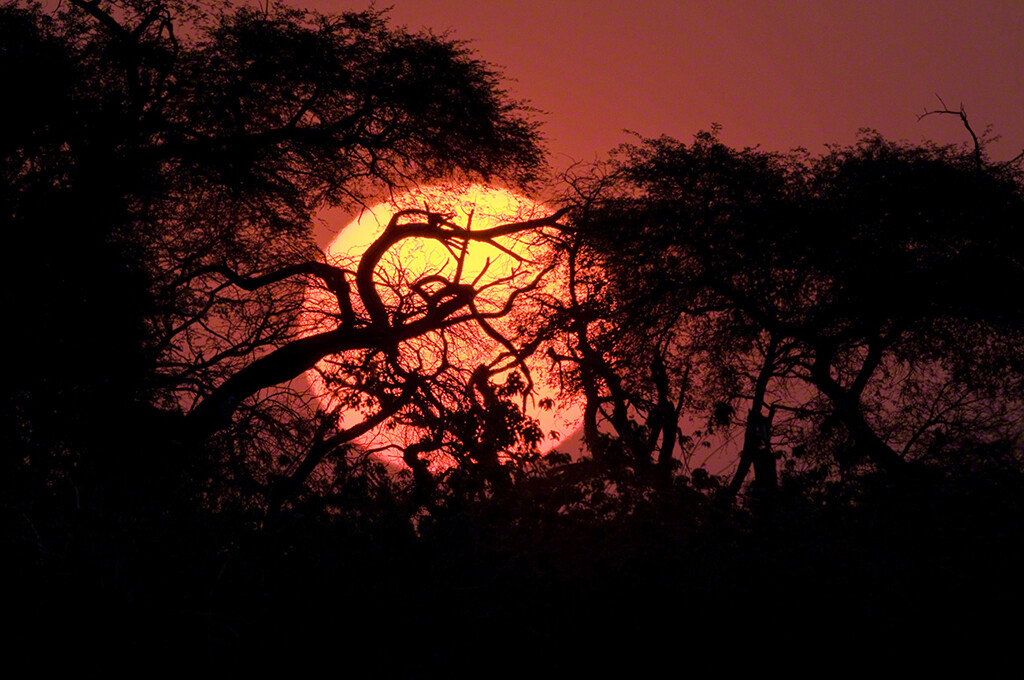 [ITALIANO] Lo spamm bar (Part 2) - Page 63 - Bar Sport - Arduino Forum