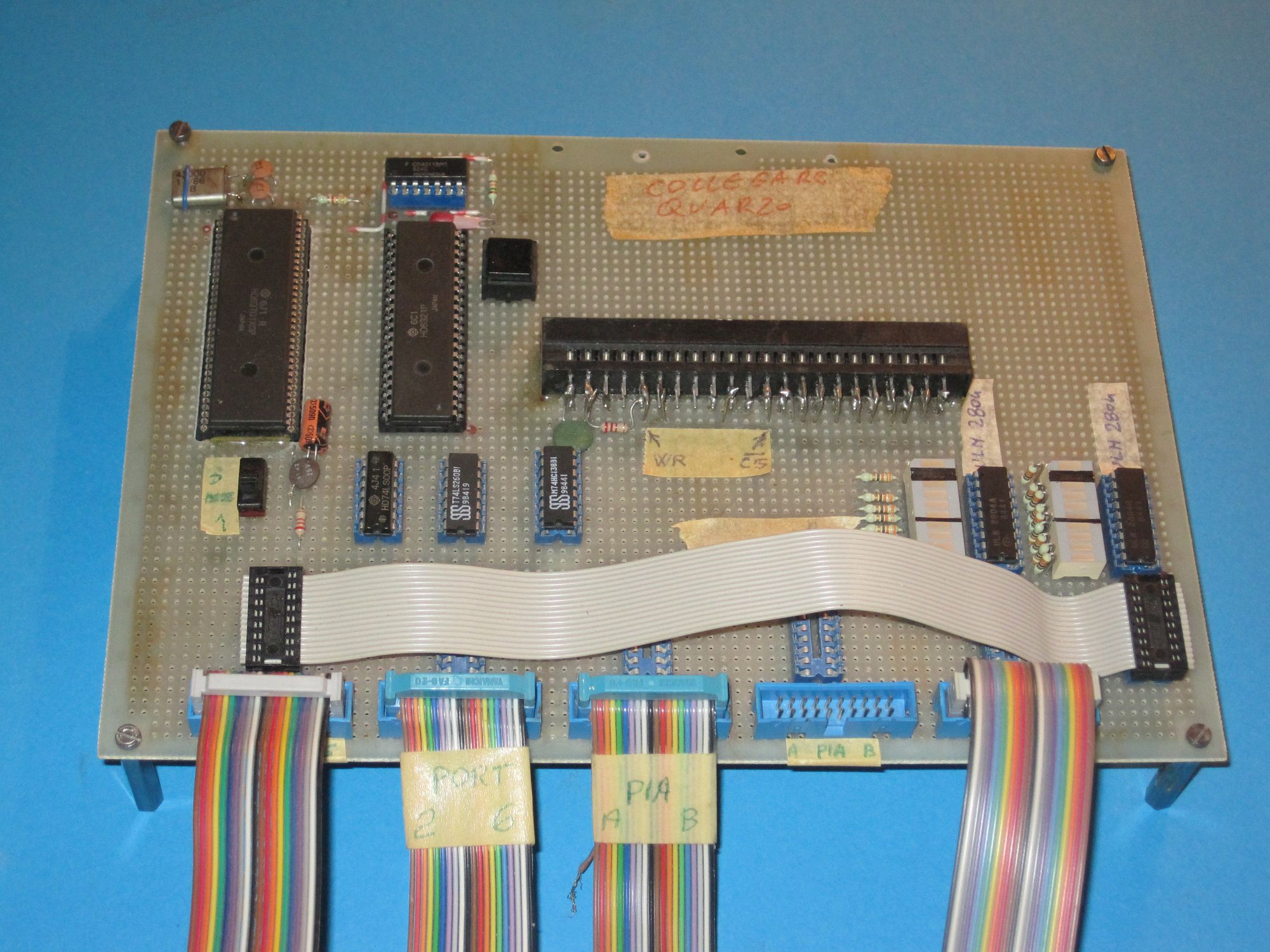 Scheda di sviluppo - Hardware - Arduino Forum