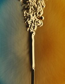 Viscosity Measurement - General Guidance - Arduino Forum