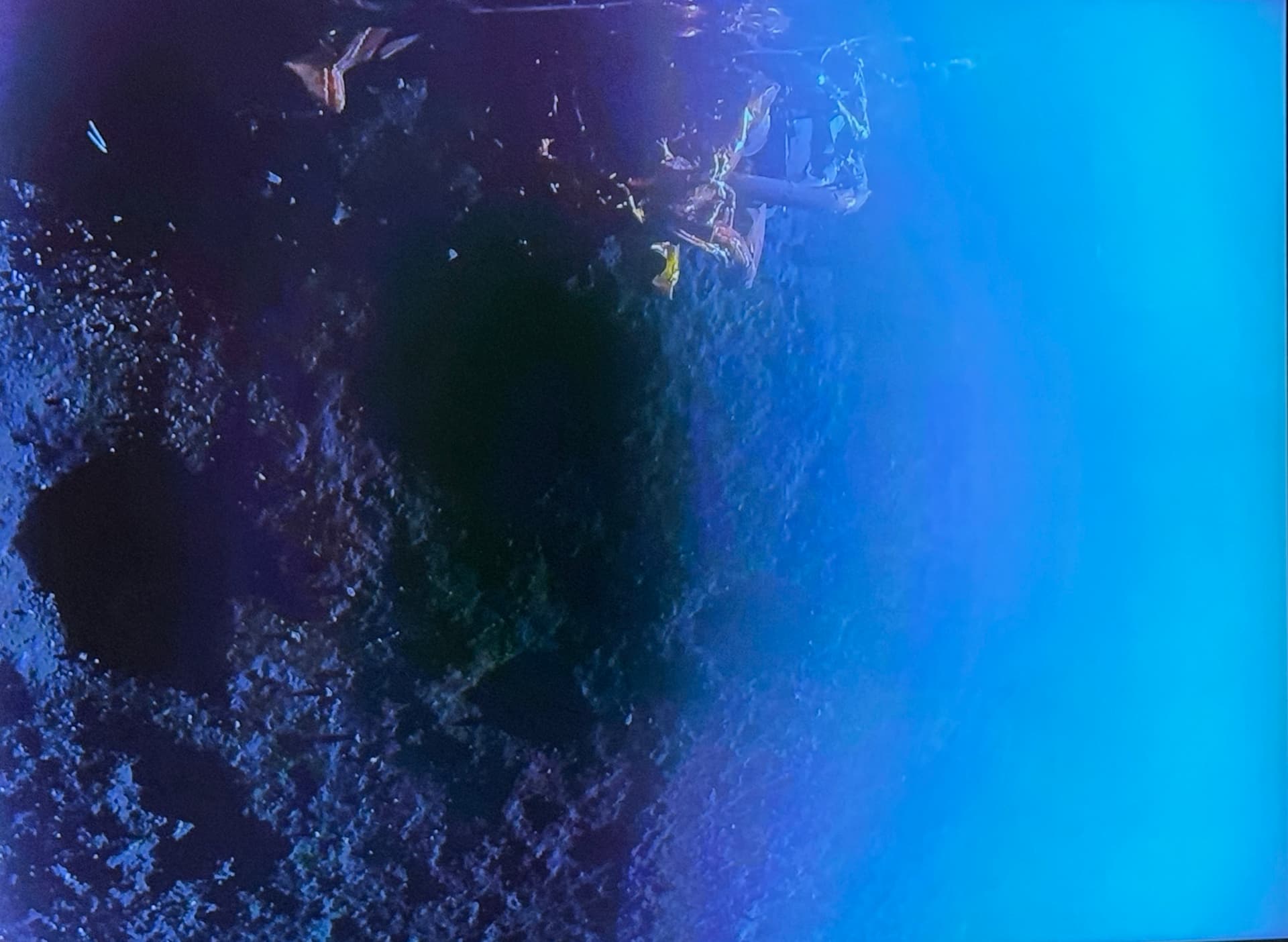 Firefly has Landed! - Bar Sport - Arduino Forum