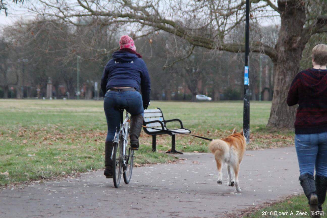 Building a better battery pack - Page 2 - General Electronics - Arduino ...