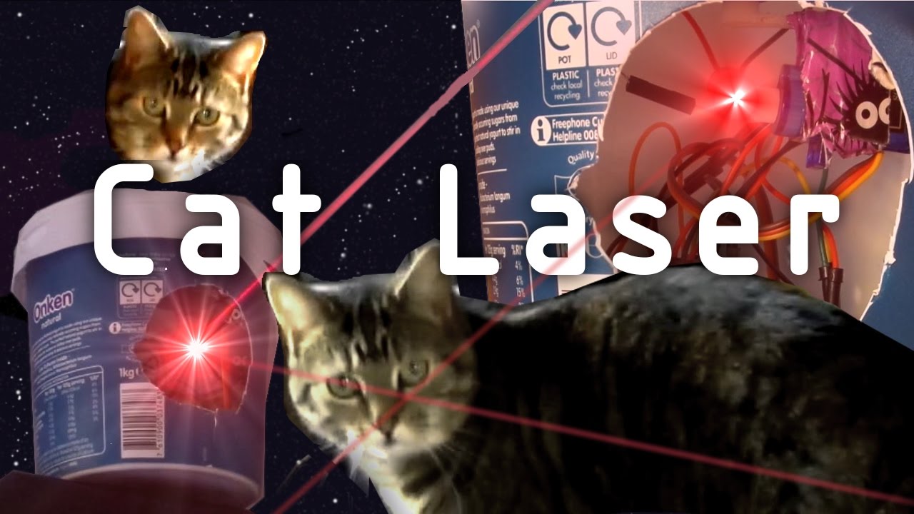 [ PAID ] Balcony cat toy - Jobs and Paid Consultancy - Arduino Forum