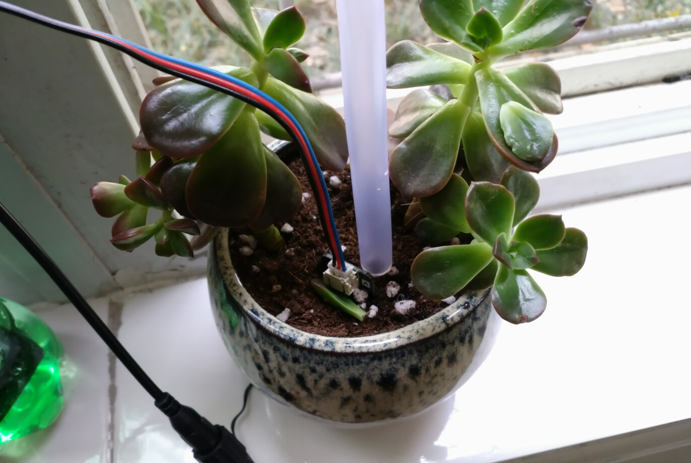 ESP8266 Tutorial: Build An Automatic Plant Watering System - Showcase ...