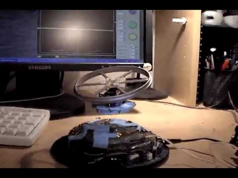 Salve, io sono nuovo nel mondo Arduino e vorrei imparare a conoscerlo, volevo per cominciare ...