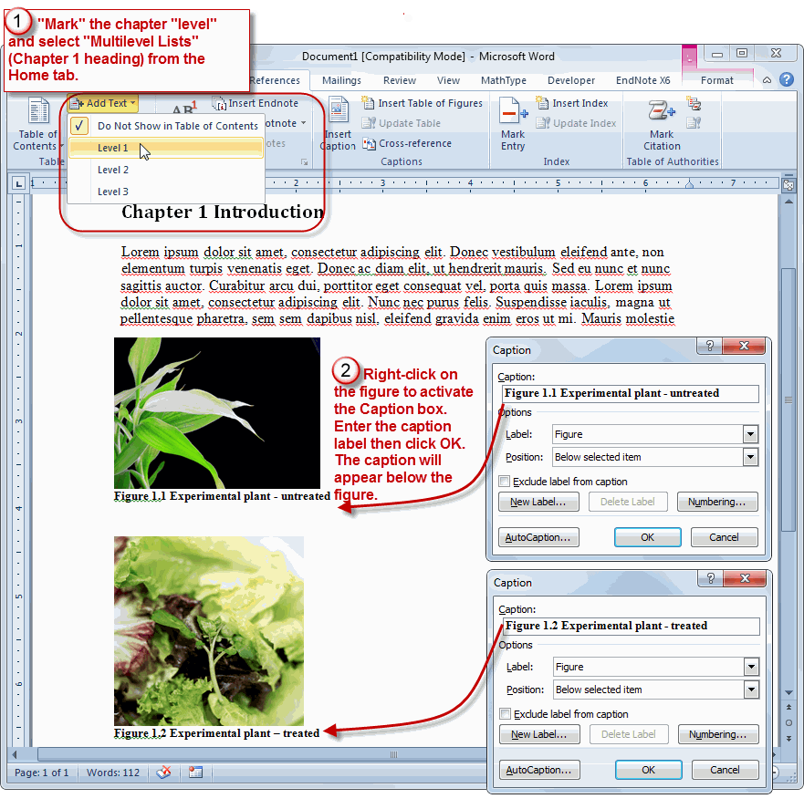 Customizing Numbering For In text Citations For Inserted Figures 