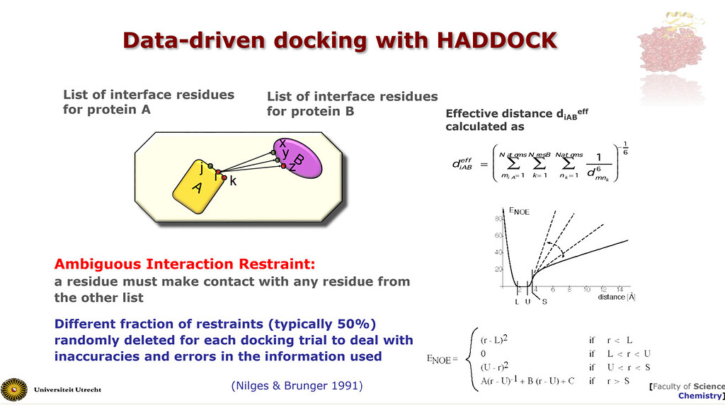 Force field and scoring function - HADDOCK - BioExcel