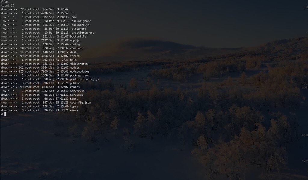 Forestadmin-schema.json Generation - Help me! - Forest Admin Developers Community