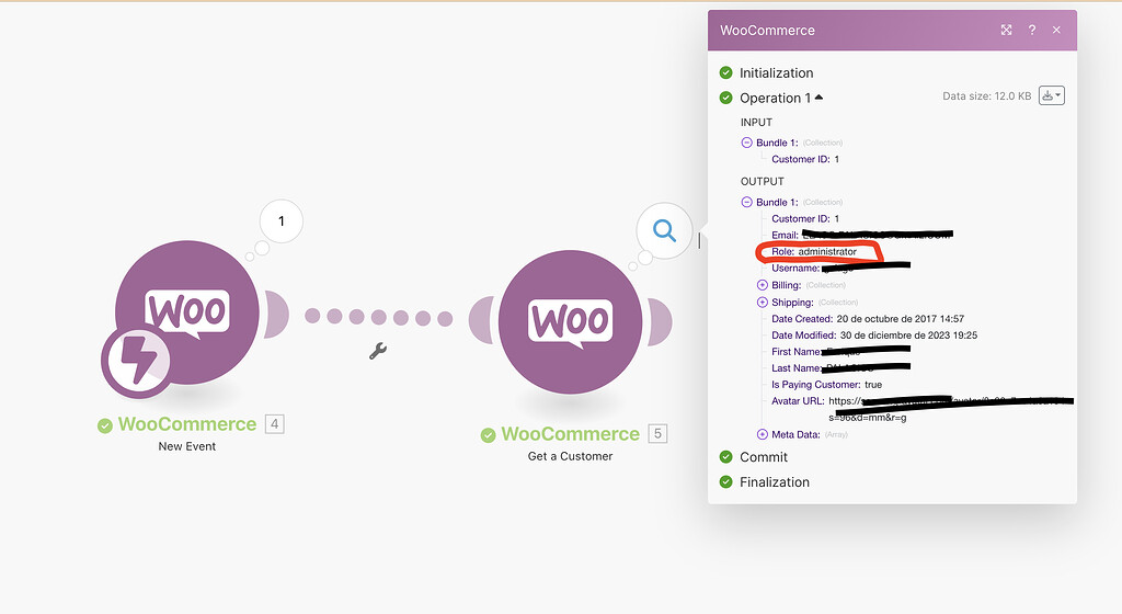 Detecting Specific Customer Role Changes in WooCommerce via make - How To - Make Community