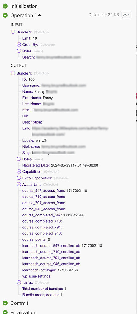 Process custom fields in WordPress output bundle - How To - Make Community