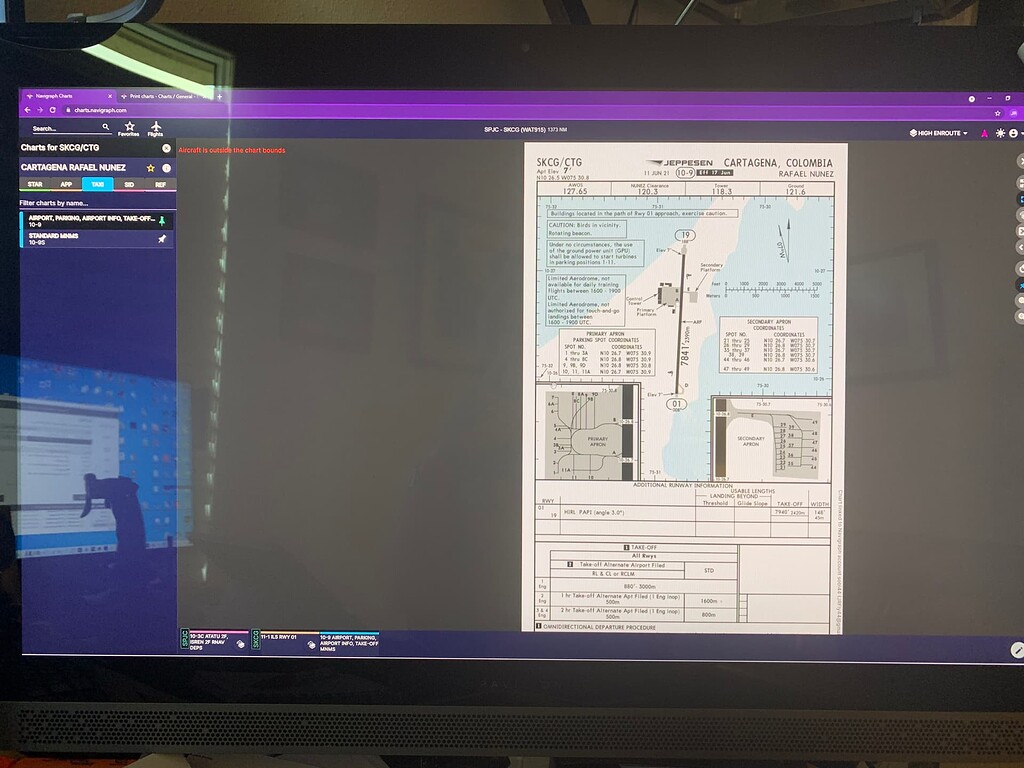 Charts Print and Javascript Error - General - Navigraph