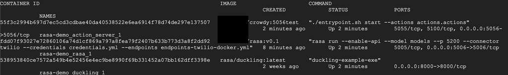 Docker with rasa-sdk image - Rasa Open Source - 2024-12-09