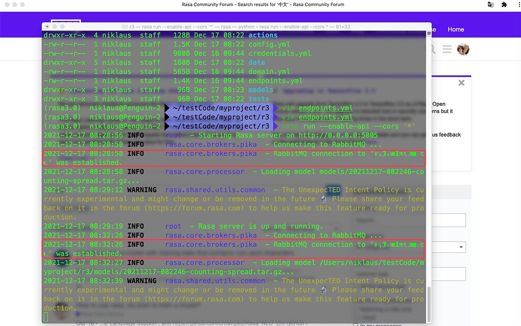 Replace model with interface http://localhost:5005/model - Rasa Open Source - 2024-12-09