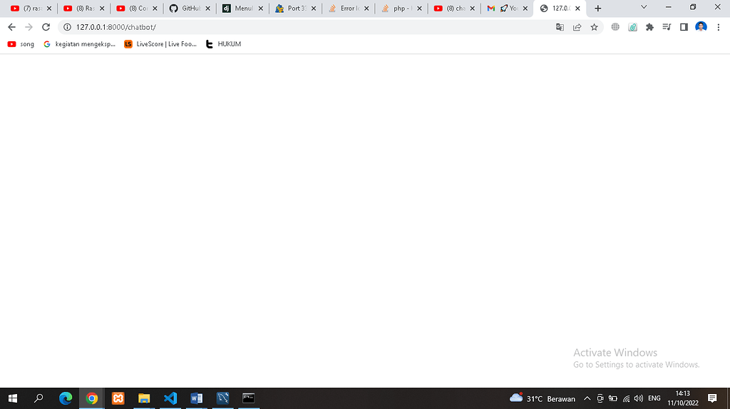 Rasa chatbot blank page - Rasa Open Source - 2024-12-09