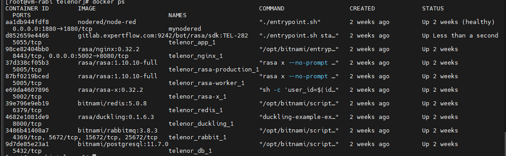 Having issue in rasa rasa_sdk files, - Rasa Open Source - 2024-12-09