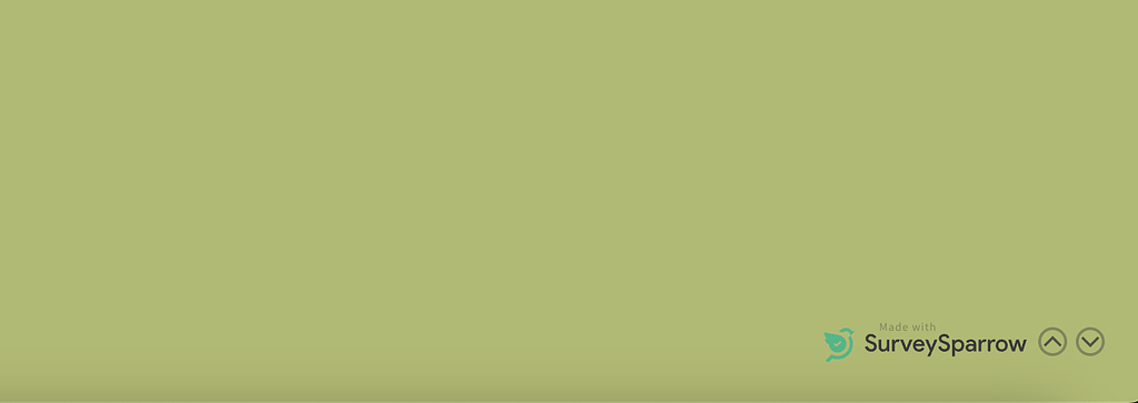 CSS to modify the size of the navigation buttons - CSS Knowledge Bonanza! 🕺