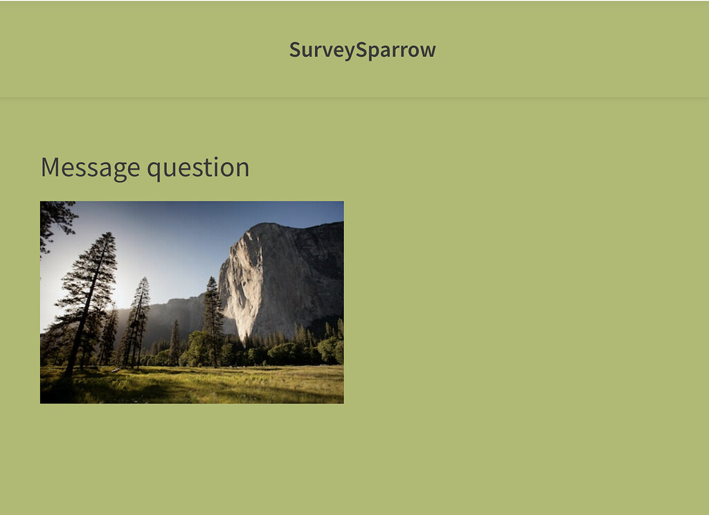 CSS to auto image size only for 'Message' type questions - CSS Knowledge Bonanza! 🕺
