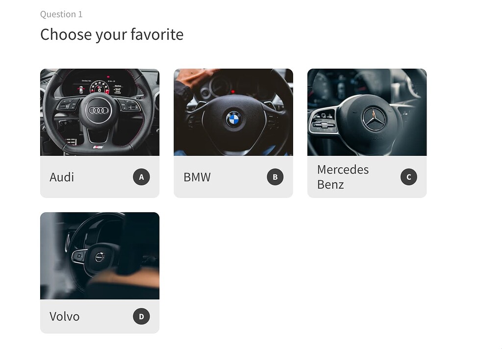 CSS to reduce font size of picture choice option text - CSS Knowledge Bonanza! 🕺