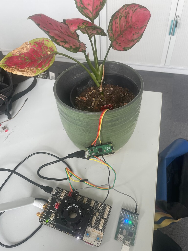 Soil Hydration Monitor How To: Raspberry Pi Pico x PLSx3-W x MQTT x ...