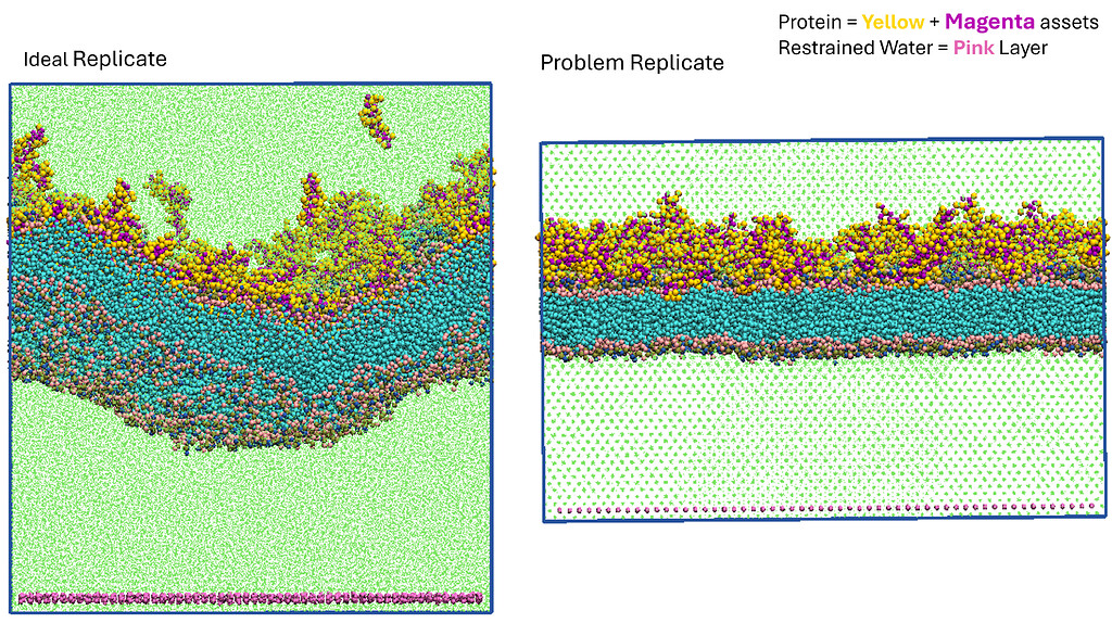 PBC Box Failing to Expand to Input .gro File Parameters + Unwanted ...